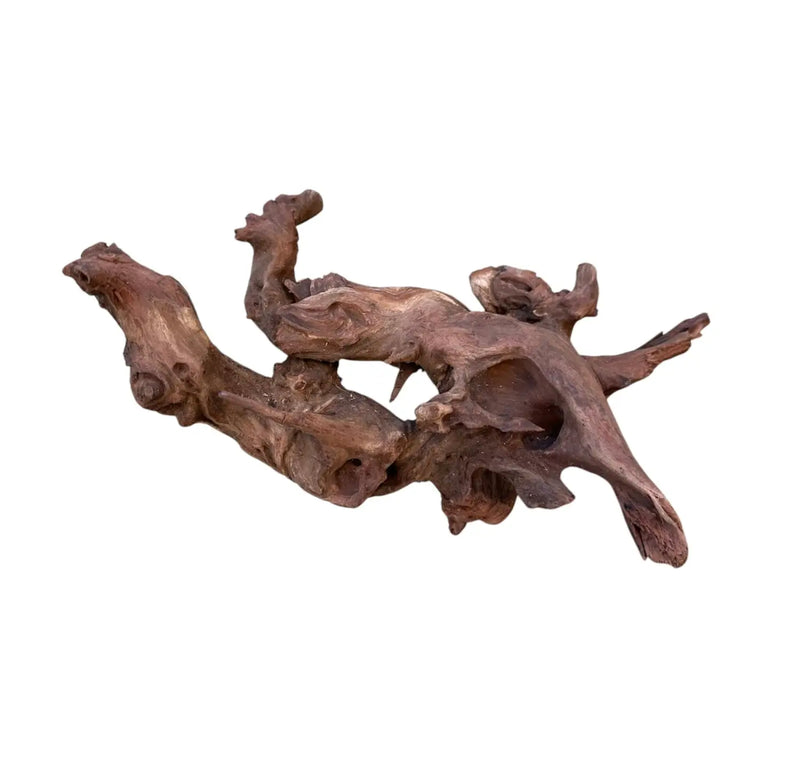 Amazon Wood for Aquascaping and Natural Decor | Aquatic Motiv