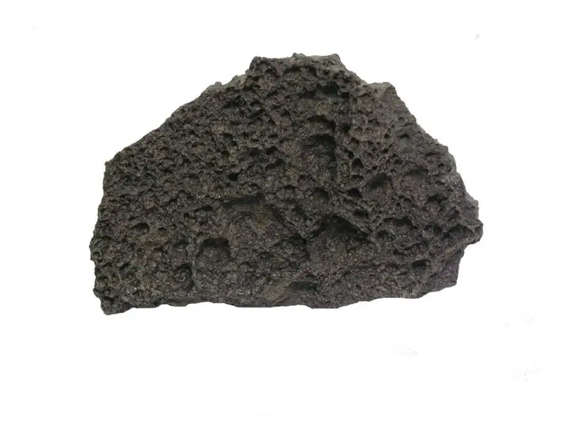 Lace Rock Natural Structure for Aquascaping | Aquatic Motiv