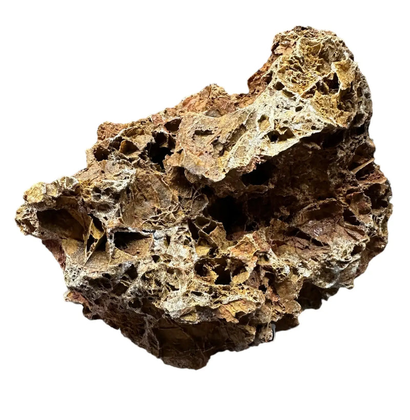 Maple Leaf Rock Decorative Stone for Aquariums | Aquatic Motiv
