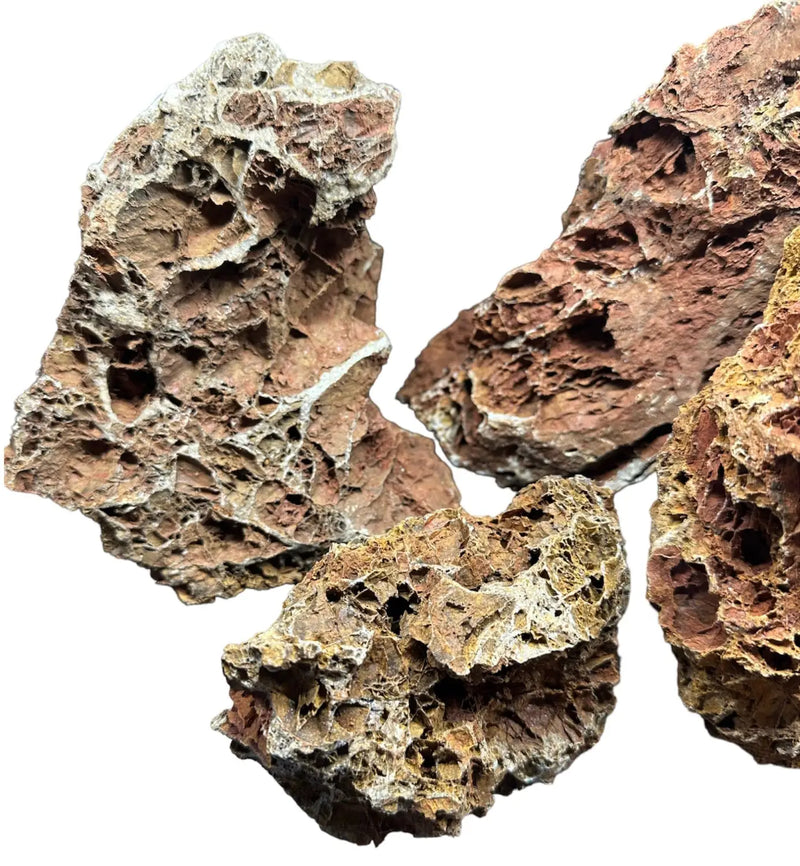 Maple Leaf Rock Decorative Stone for Aquariums | Aquatic Motiv