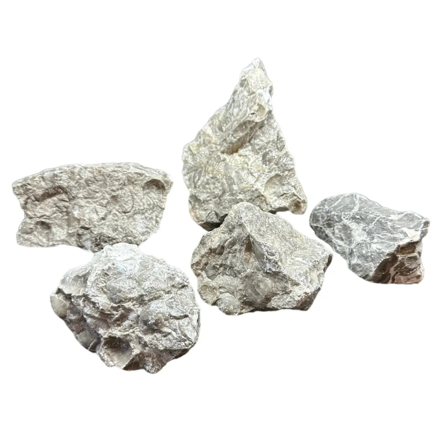 Sunk Jade Rock Aquascaping Stone for Natural Layouts | Aquatic Motiv
